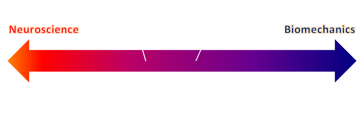 Neuromechanics & Bioinspired Technologies (NBITs) – Dr. Huai-Ti Lin's ...